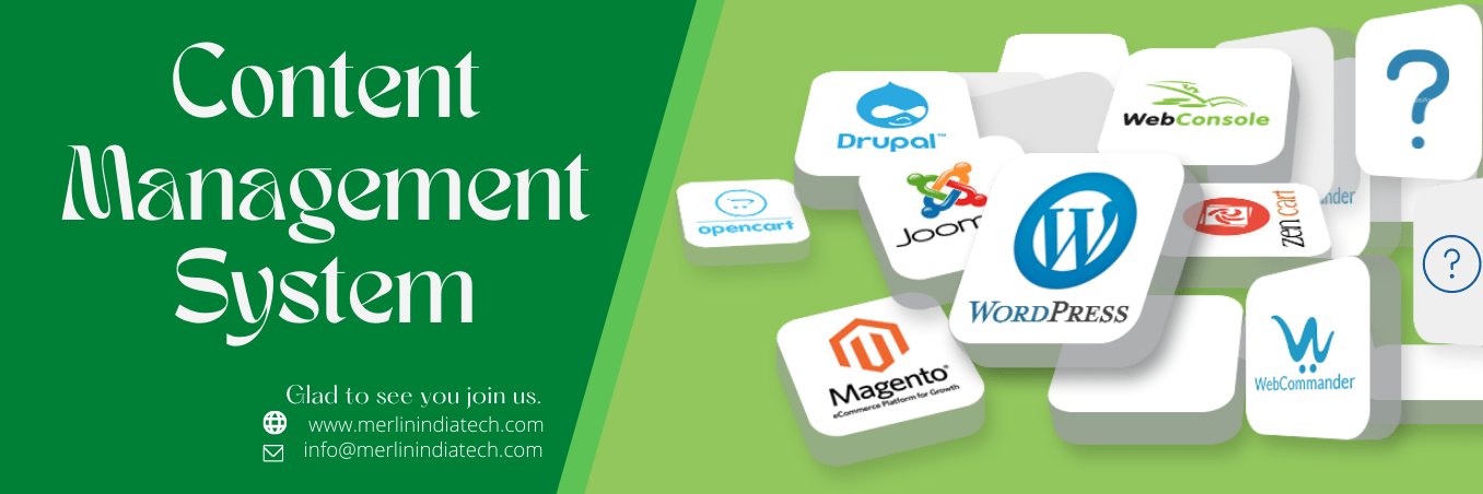 CRM Development And Customization - Merlin India Tech